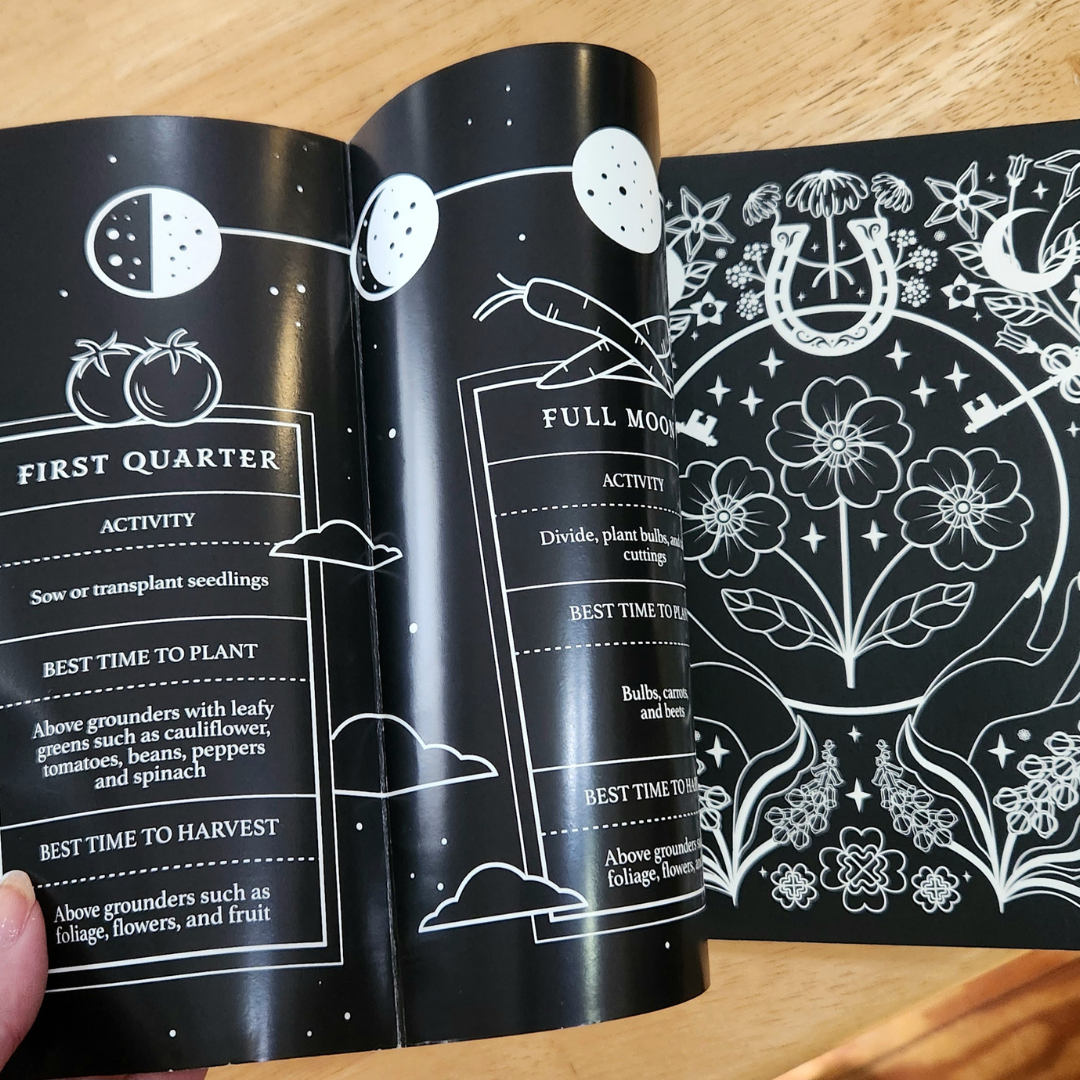 The Witch of the Forest’s Guide to Folklore Magick